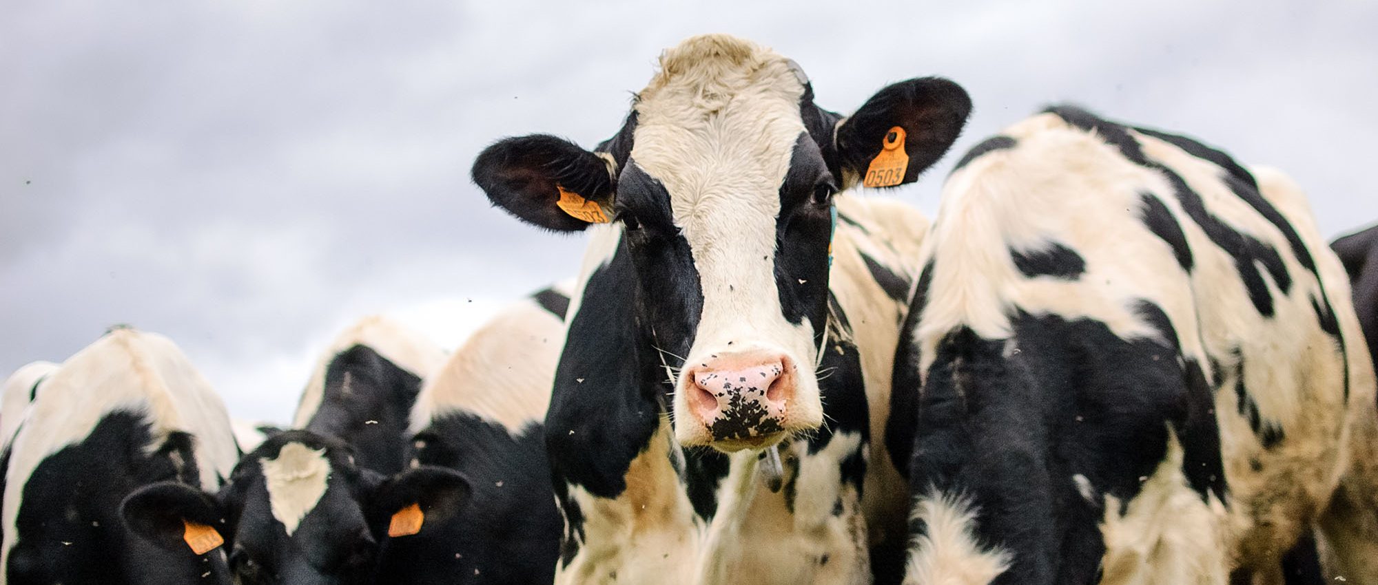 Small & Agri‑Business - Central Technology Center